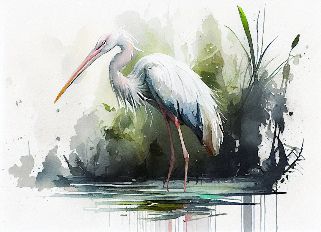 Watercolor White Stork Clipart, 8 High Quality White Stork Jpgs, for ...
