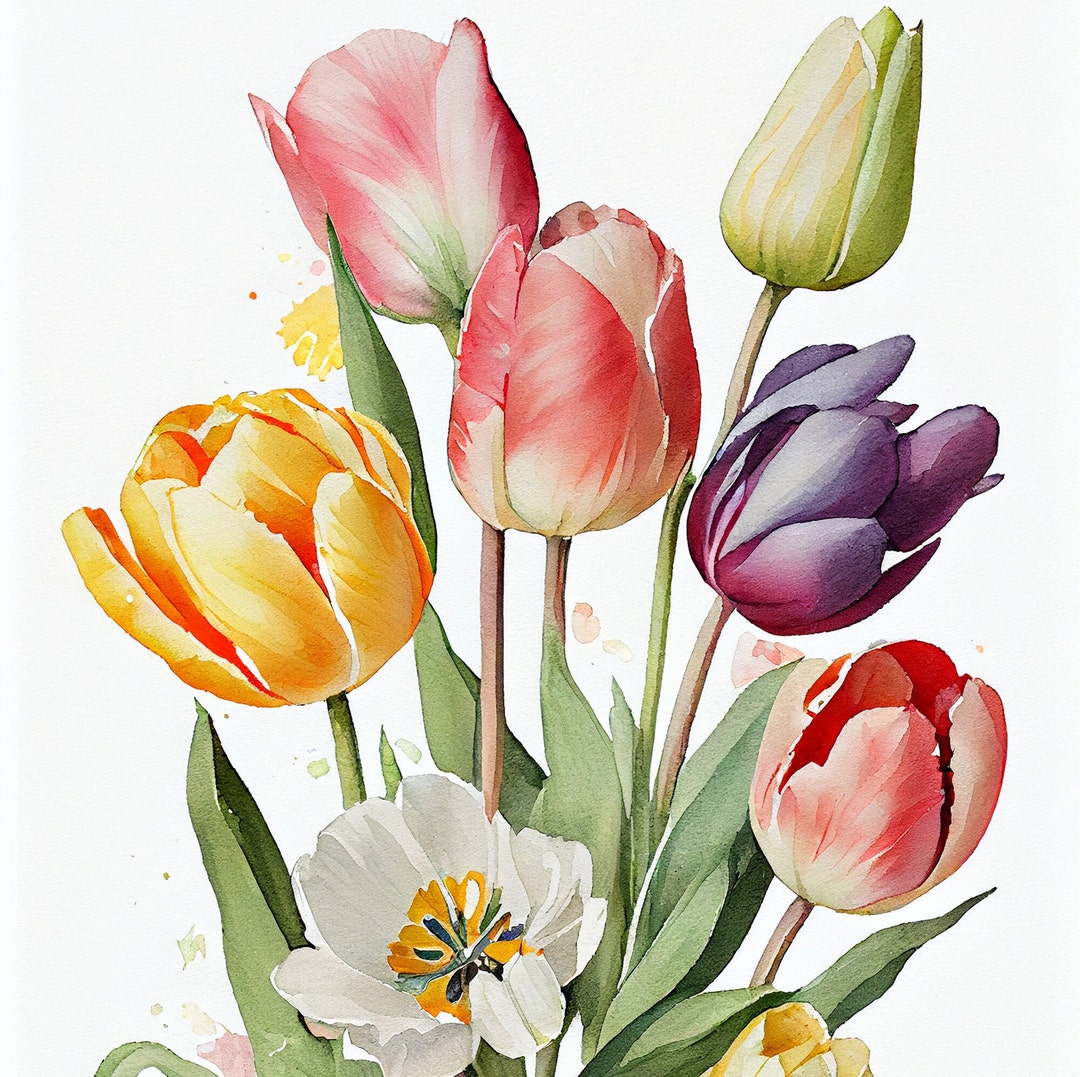 Watercolor Blooming Tulips Clipart, 10 High Quality Watercolor Tulips ...