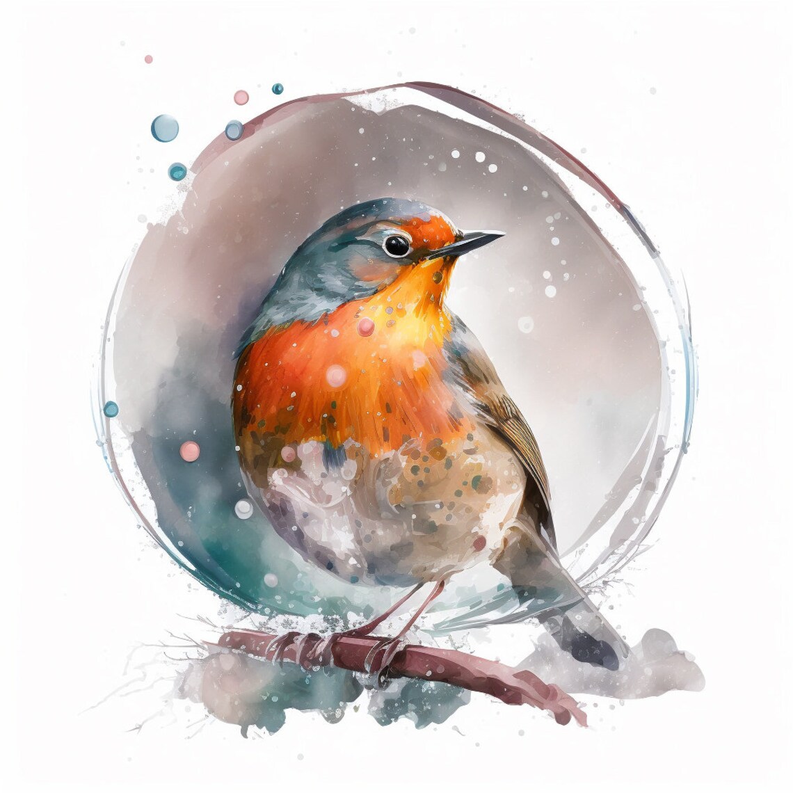 Acquerello elemento natalizio Robin Bird Clipart, 12 Robin Bird JPG di ...