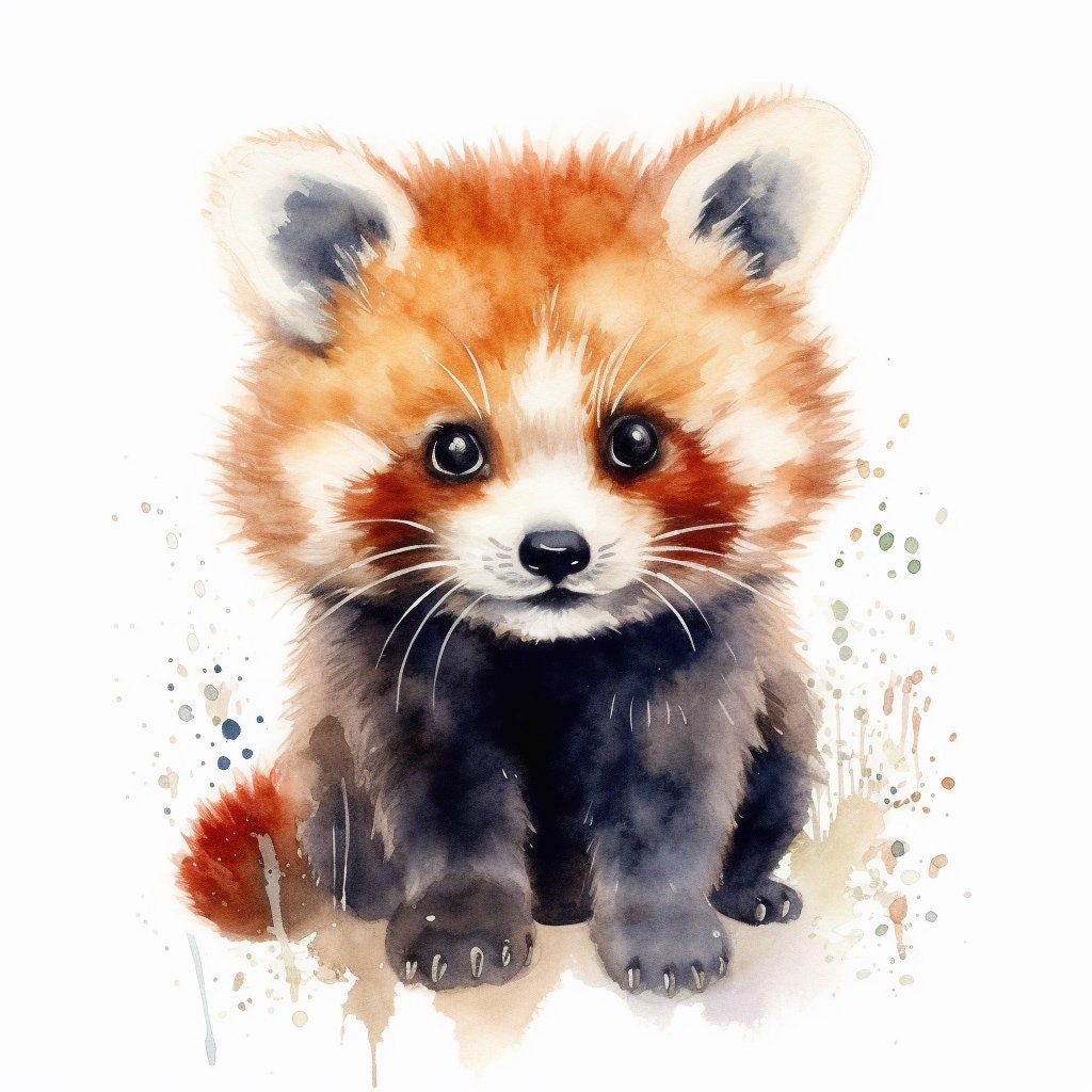 Watercolor Red Panda Clipart, 12 High Quality Red Panda Jpgs, for Card ...