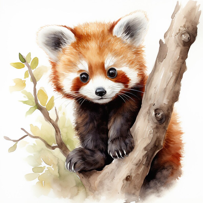 Watercolor Red Panda Clipart, 12 High Quality Red Panda Jpgs, for Card ...