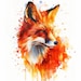 12 JPG Watercolor Fox Clipart – Fiery Forest Animal Art, Digital ...
