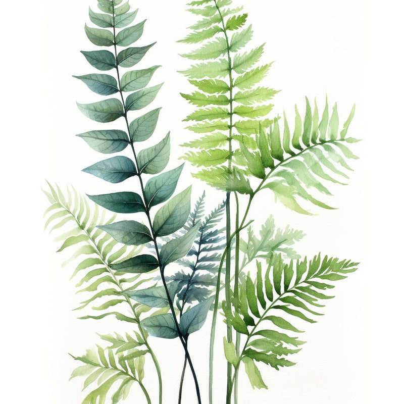 Watercolor Fern - Etsy