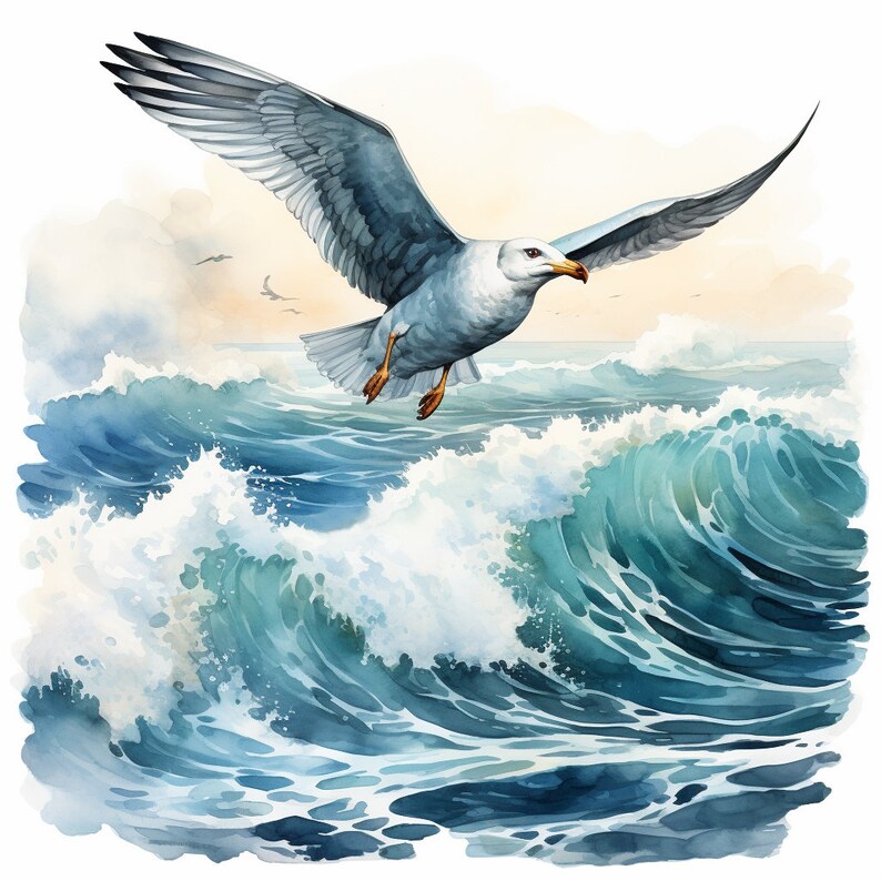 12 Watercolor Seagull Wave Clipart, High Quality Seagull Wave Clipart ...