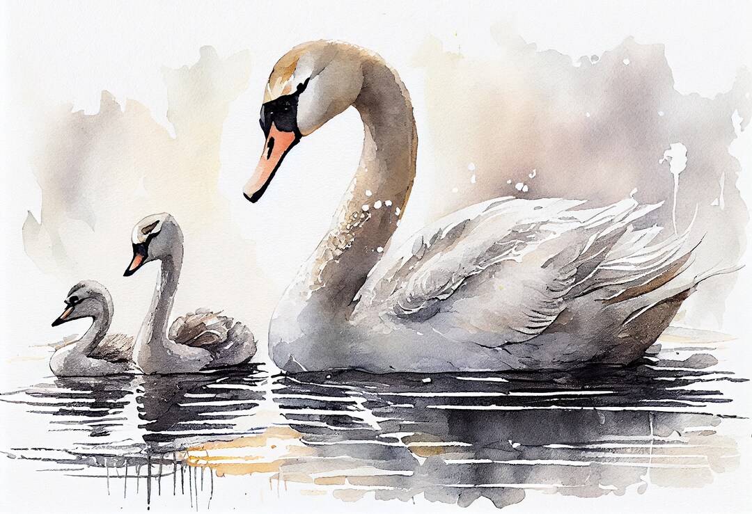 Watercolor Swan Family in Lake Clipart, 9 High Quality Swan Family Jpgs ...