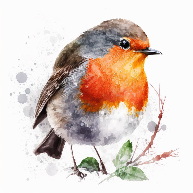 Acquerello elemento natalizio Robin Bird Clipart, 12 Robin Bird JPG di ...