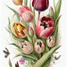 Watercolor Blooming Tulips Clipart, 10 High Quality Watercolor Tulips ...