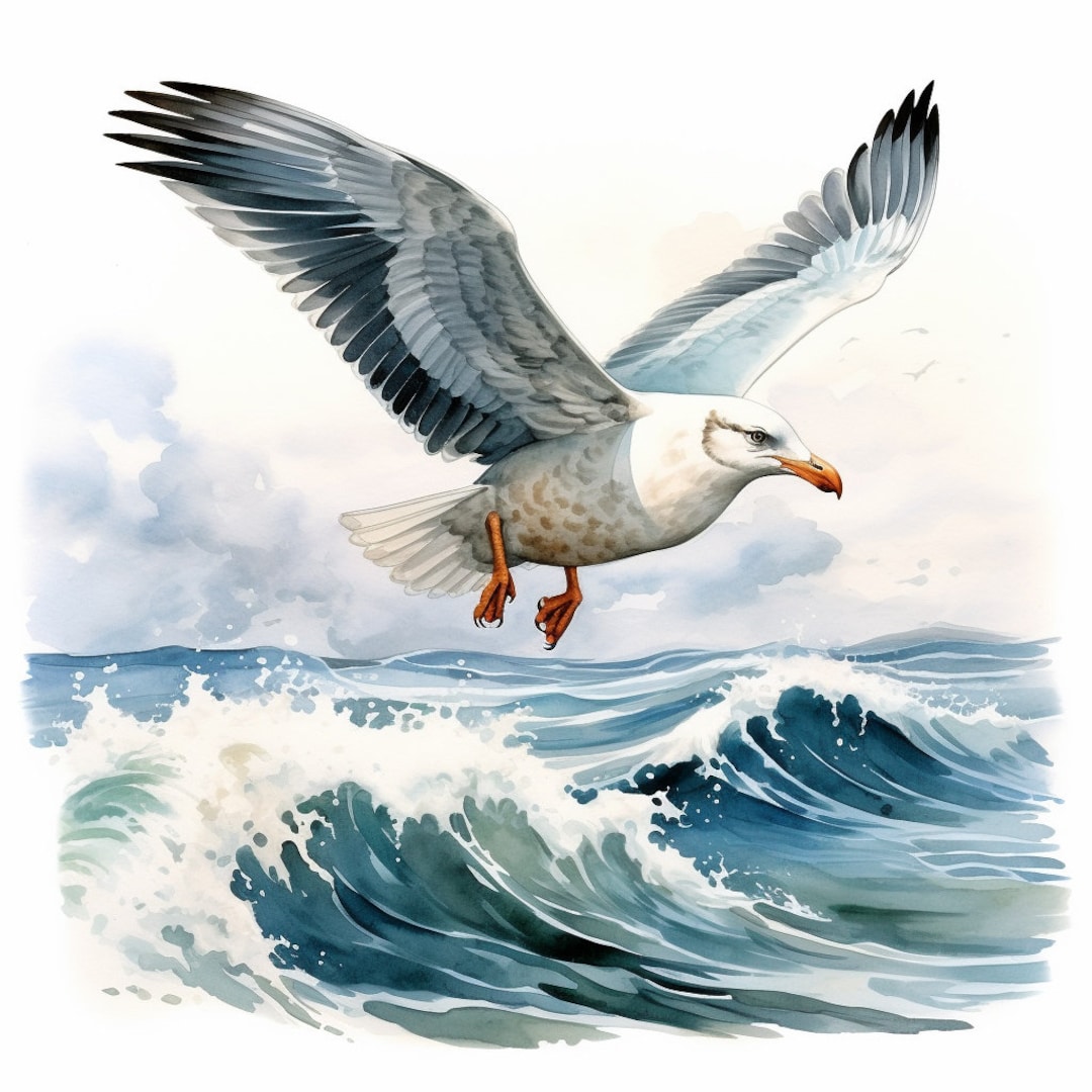 12 Watercolor Seagull Wave Clipart, High Quality Seagull Wave Clipart ...