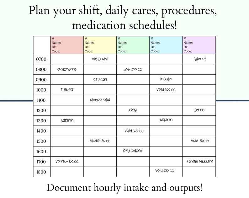 Nurse Shift Planner: Hourly Patient Care Organizer (PDF) - Etsy
