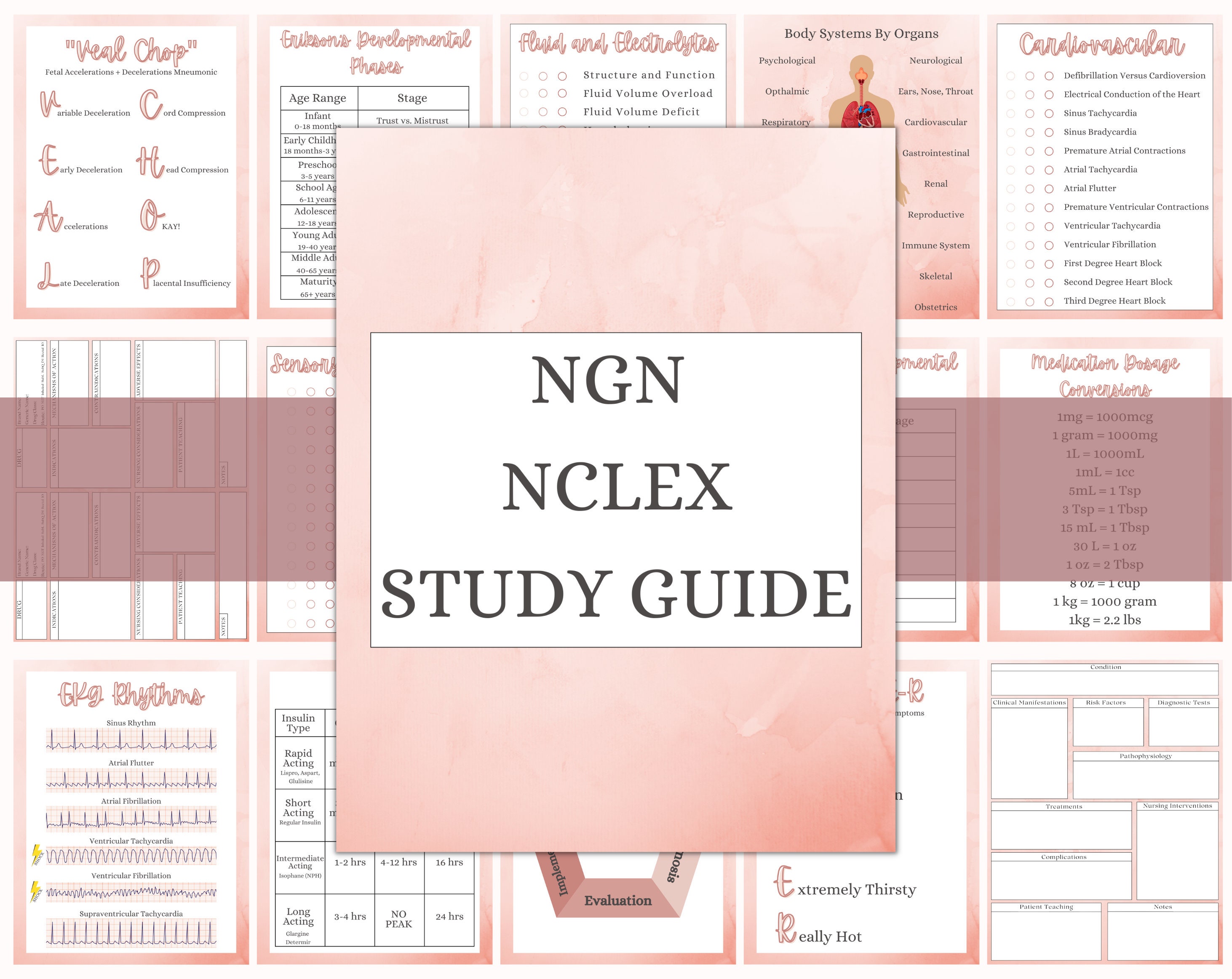 NCLEX Study Guide: Nursing Notes & Concept Maps (digital Product) - Etsy