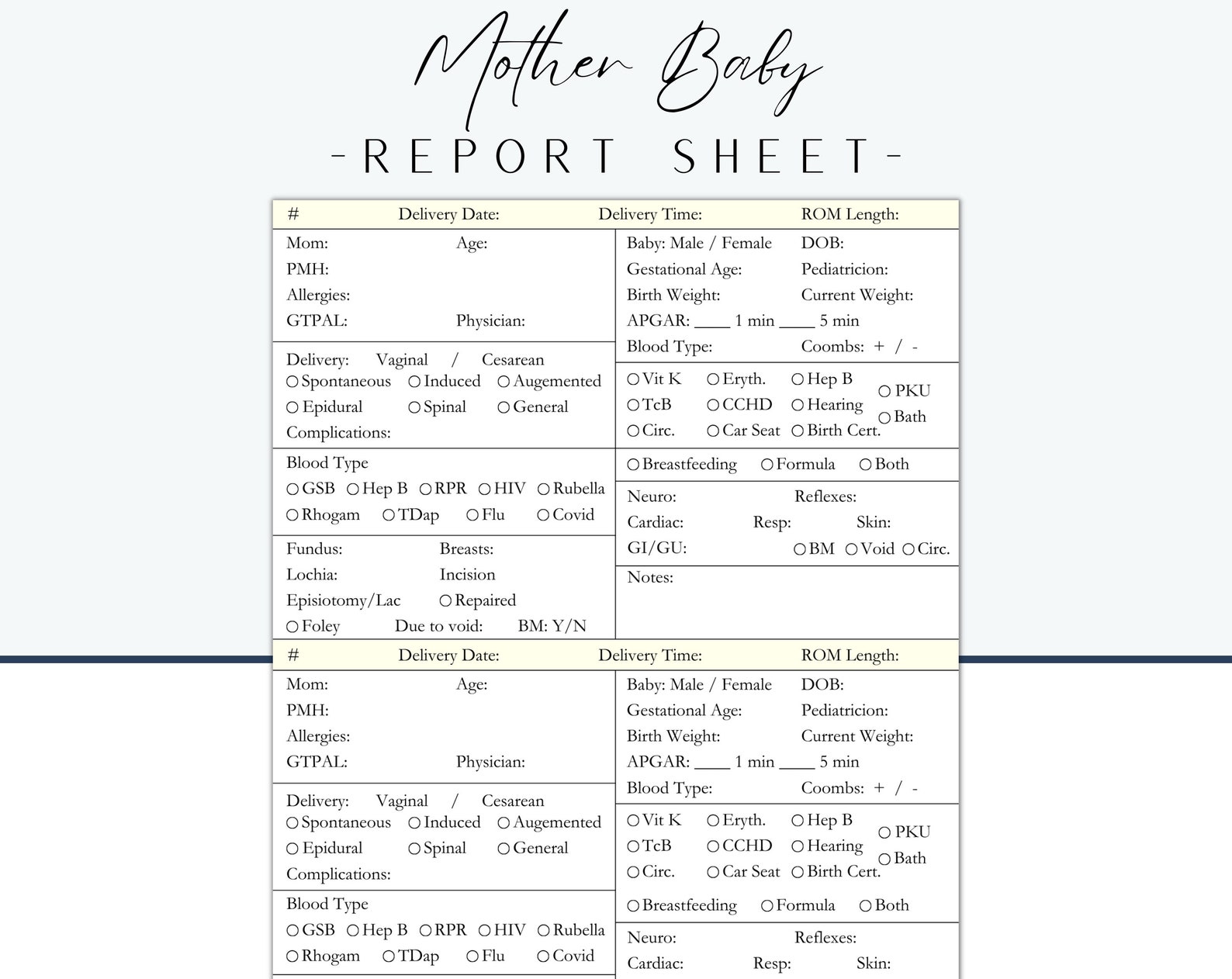 Mother Baby Nurse Report Sheet: Postpartum Handoff (PDF) - Etsy