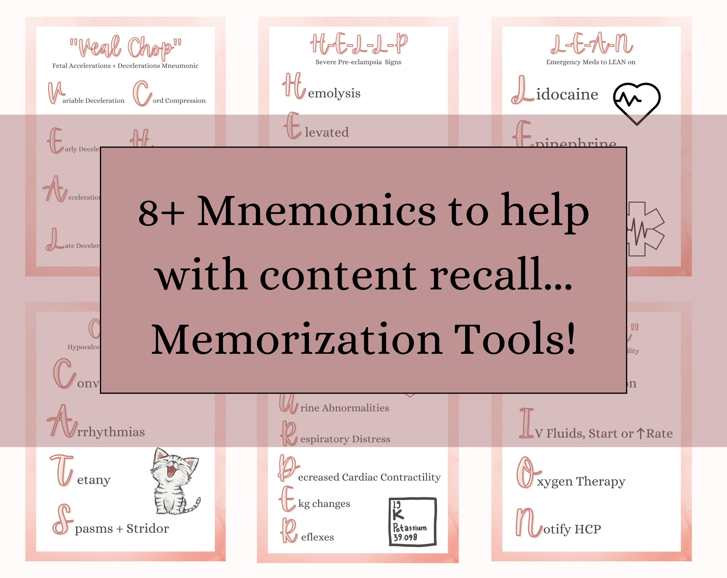 NCLEX Study Guide: Nursing Notes & Concept Maps (digital Product) - Etsy