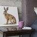 Jack Rabbit | Printable Digital Download - Etsy