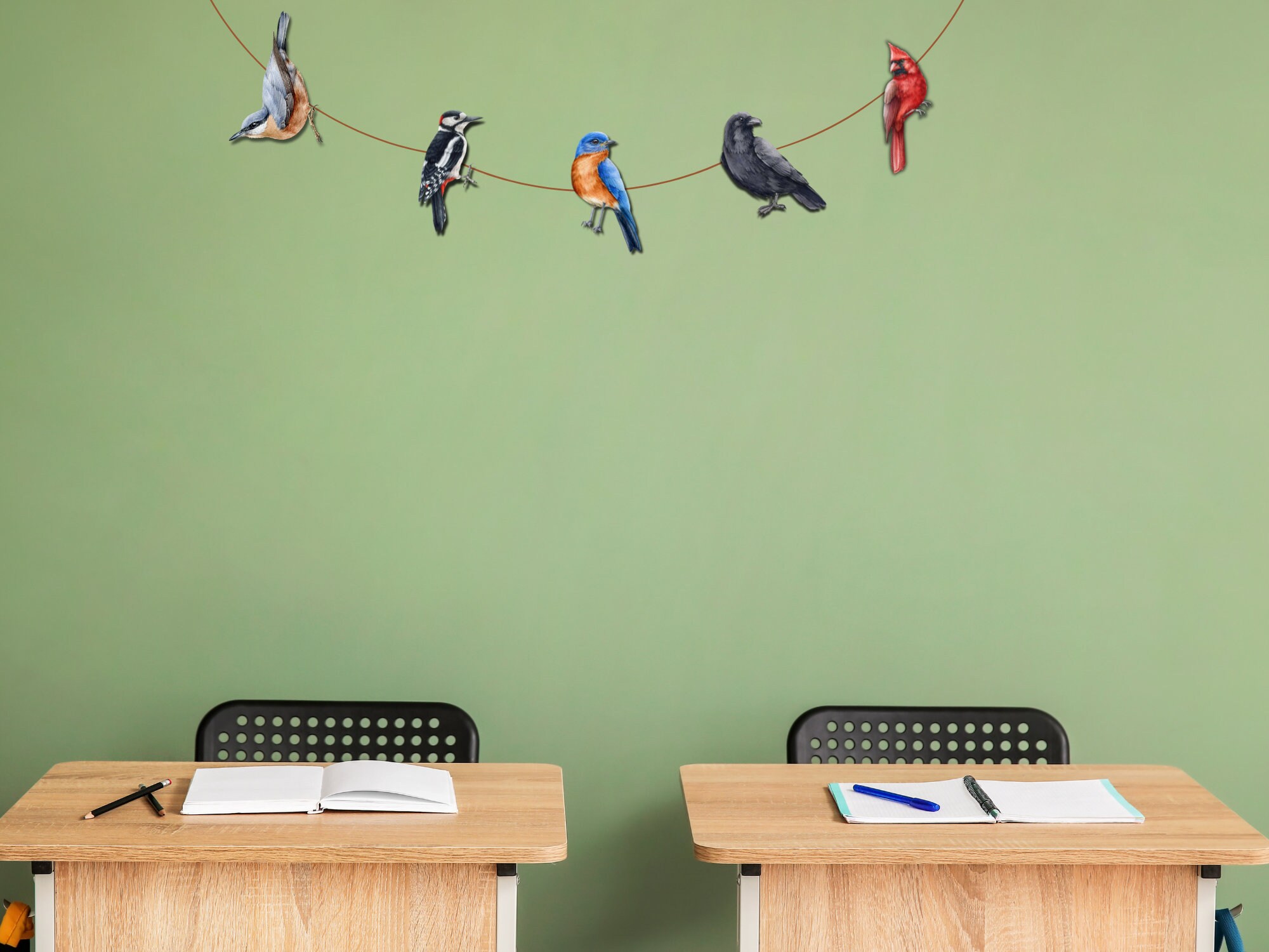 Gentle Nature Study Birdwatching Set Unit Study Addition - Etsy