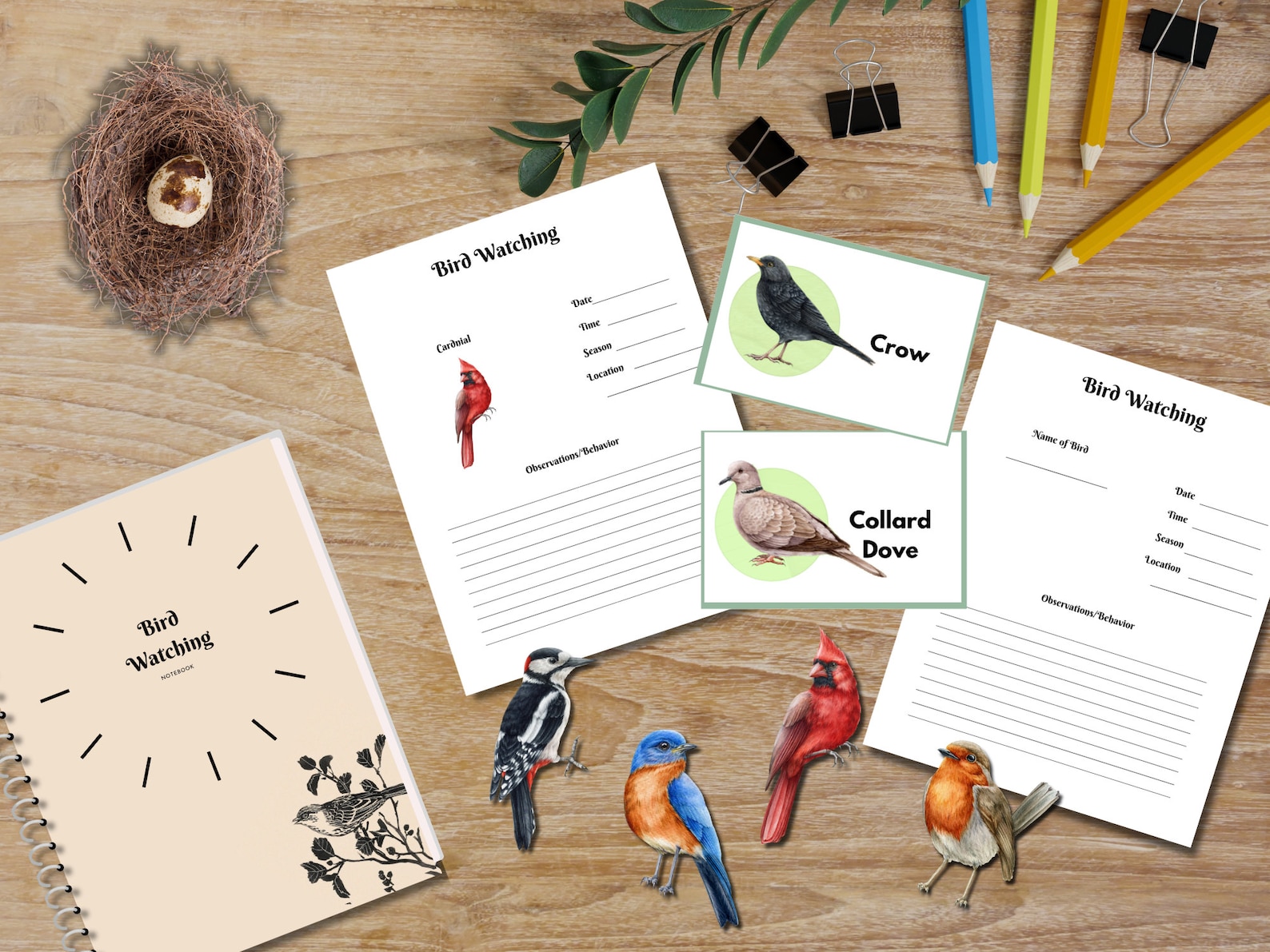 Gentle Nature Study Birdwatching Set Unit Study Addition - Etsy