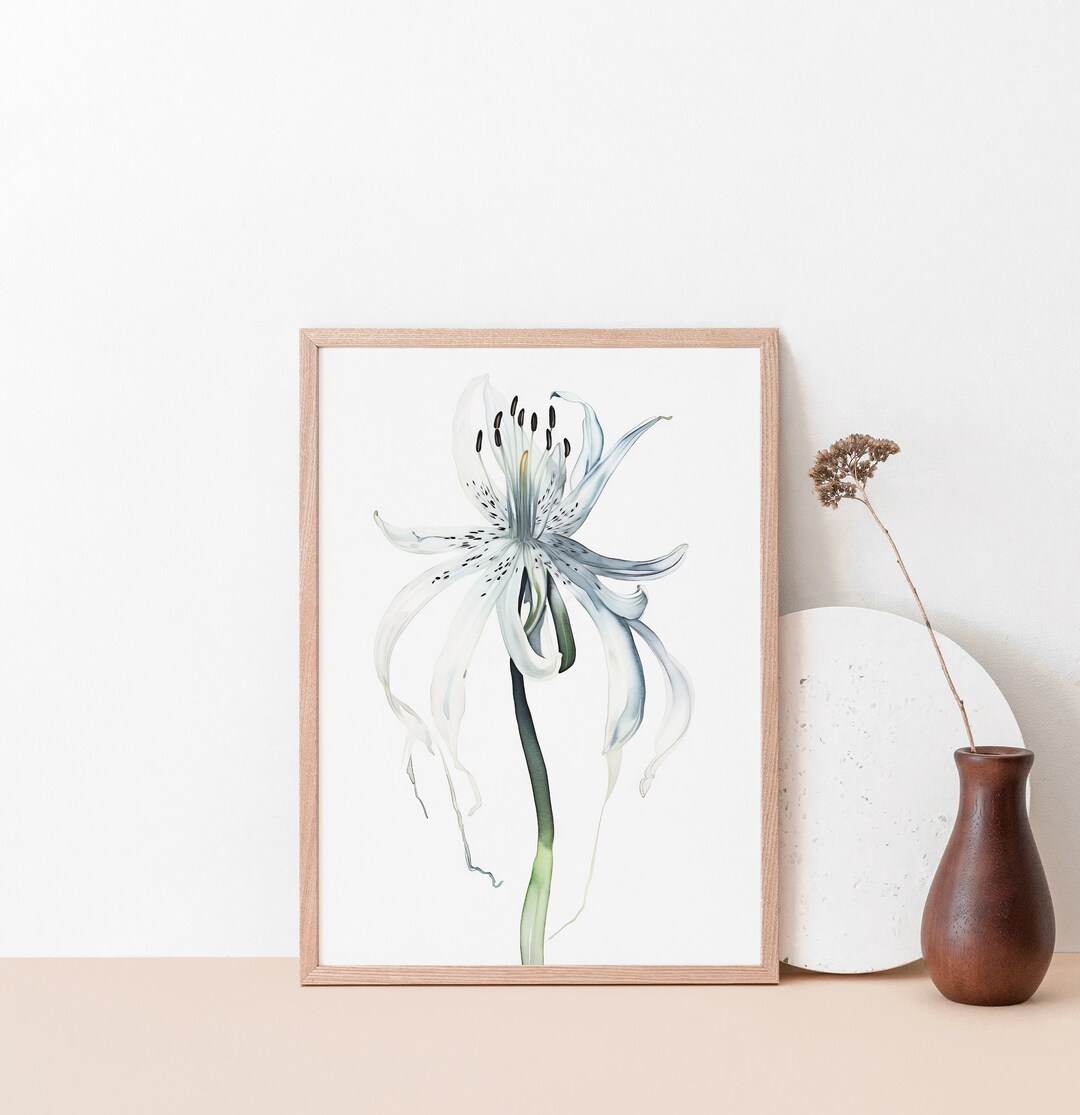 Spider Lily, Floral Abstract Wall Art Print, Watercolor Art, Modern ...