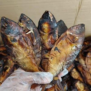 Smoked Bifaka (mbounga, Malolo) Fish| 5+ Count | 250g per Pack (whole ...