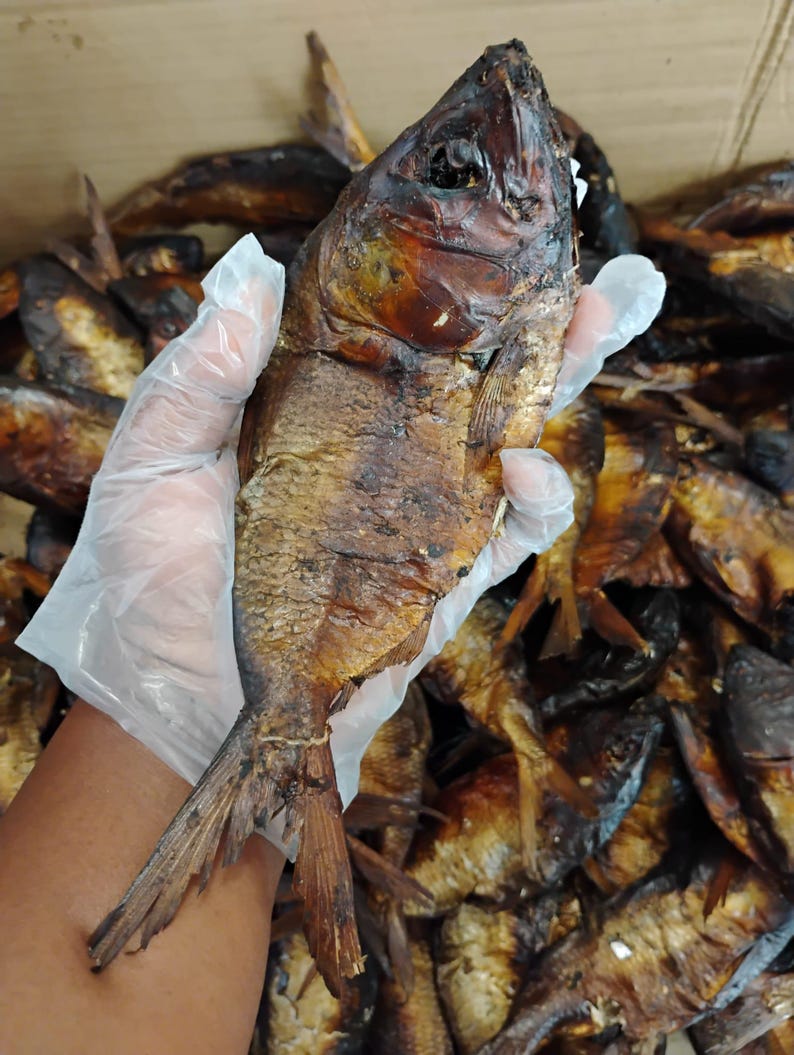 Smoked Bifaka (mbounga, Malolo) Fish| 5+ Count | 250g per Pack (whole ...