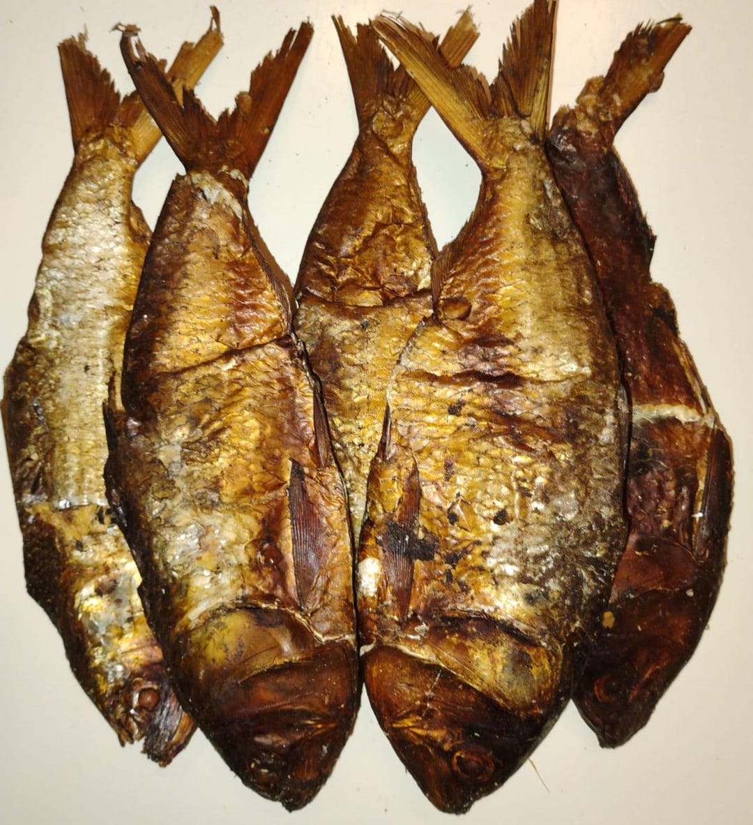 Smoked Bifaka (mbounga, Malolo) Fish| 5+ Count | 250g per Pack (whole ...