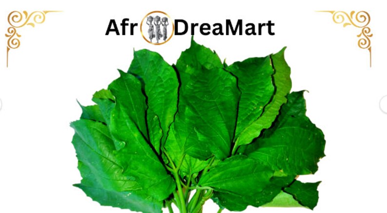 Dried Ugu Leaf Fluted Pumpkin Ikong-ubong Ugboguru 5.3 Oz Pack ...