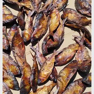 Smoked Bifaka (mbounga, Malolo) Fish | 5 Count and 3 Count | Authentic ...