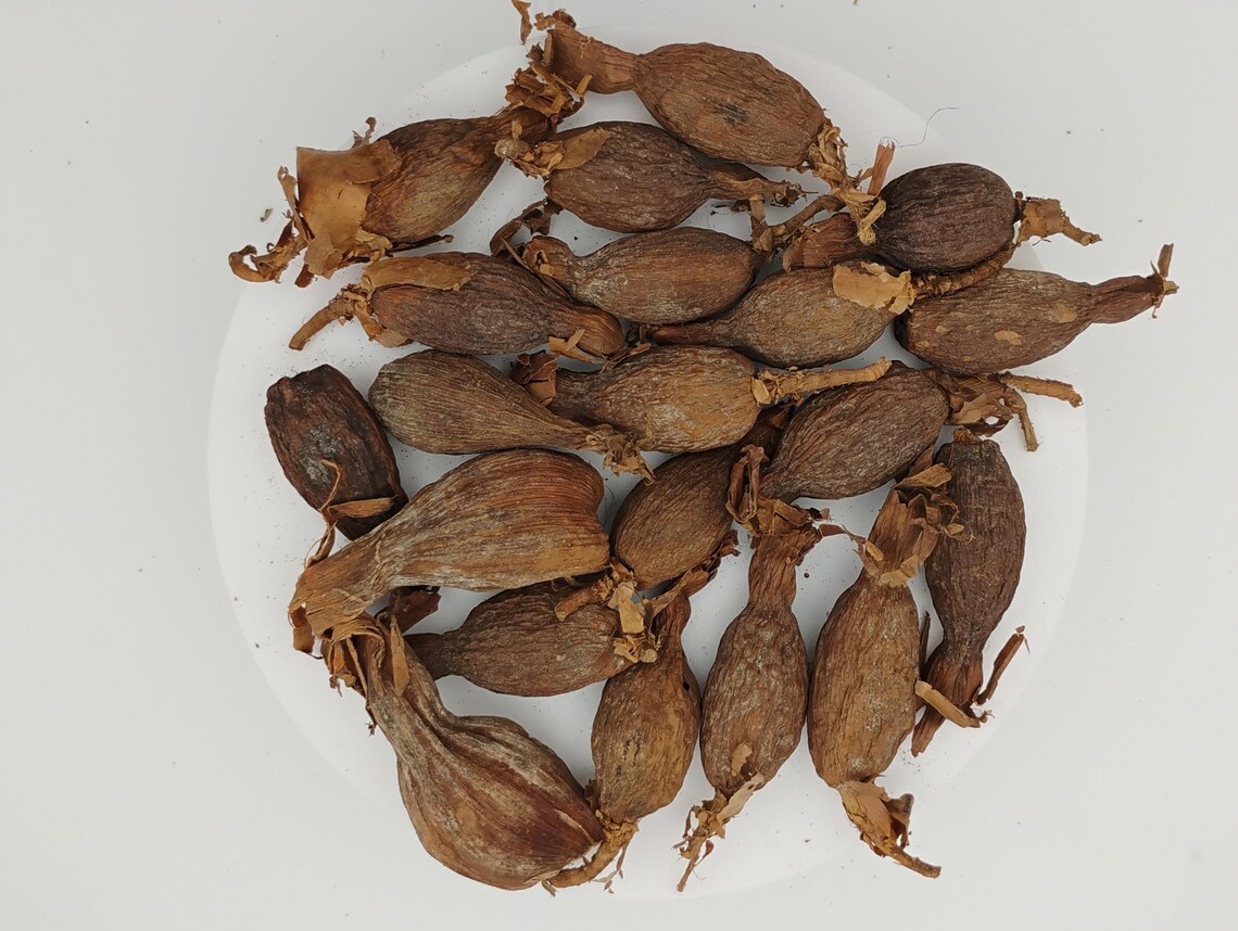 Alligator Pepper | Grains of Paradise | Atare | Traditional African ...