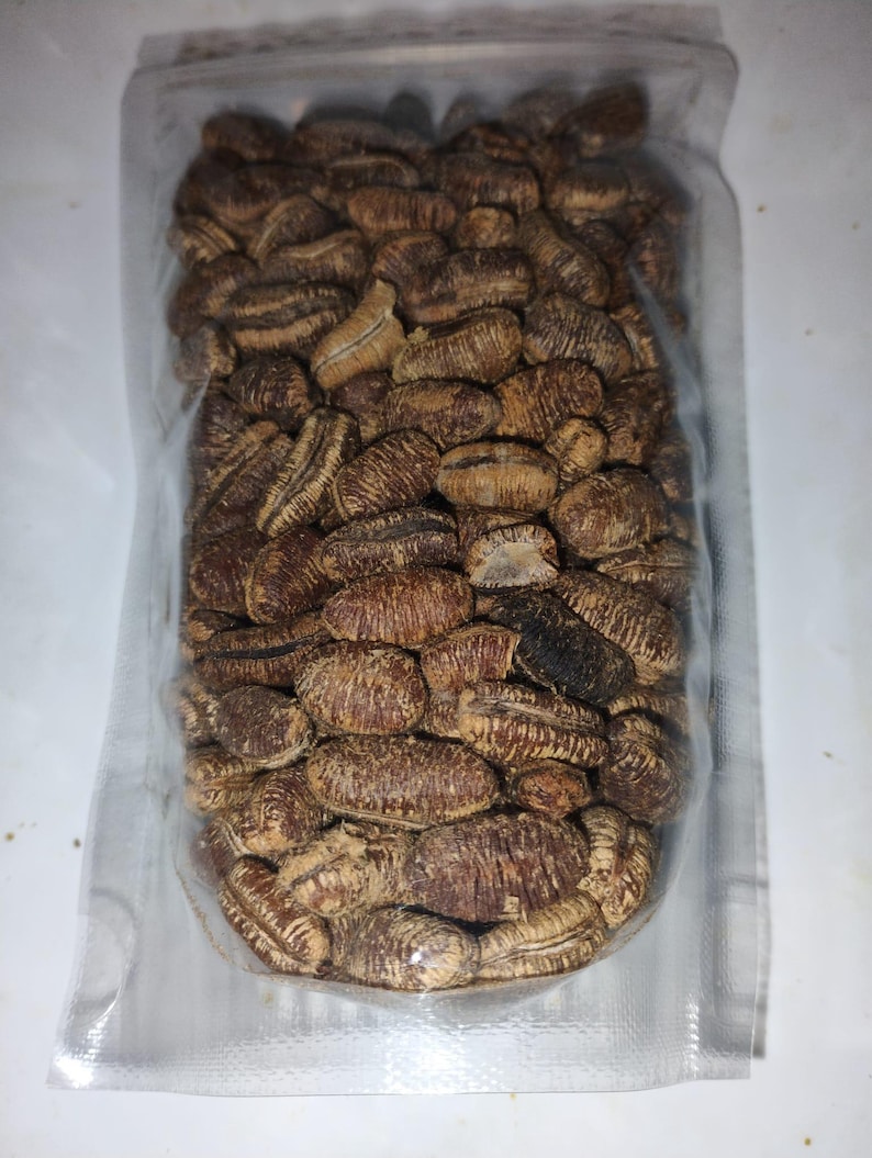 Whole African Nutmeg | Calabash Nutmeg | Wedia Aba | 250g Pack - Etsy