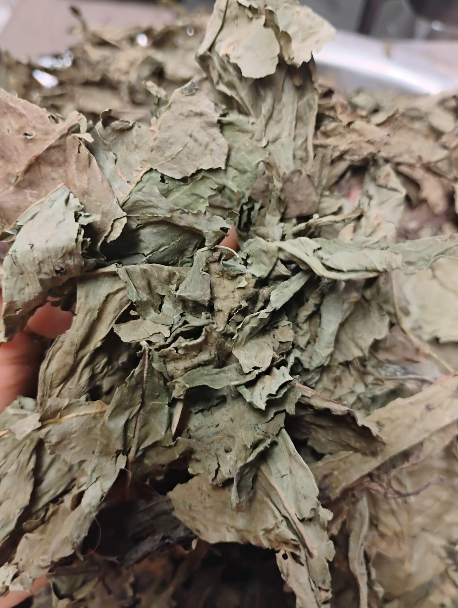 Scent Leaves/efinrin/ Nchanwu (dry)/100g - Etsy