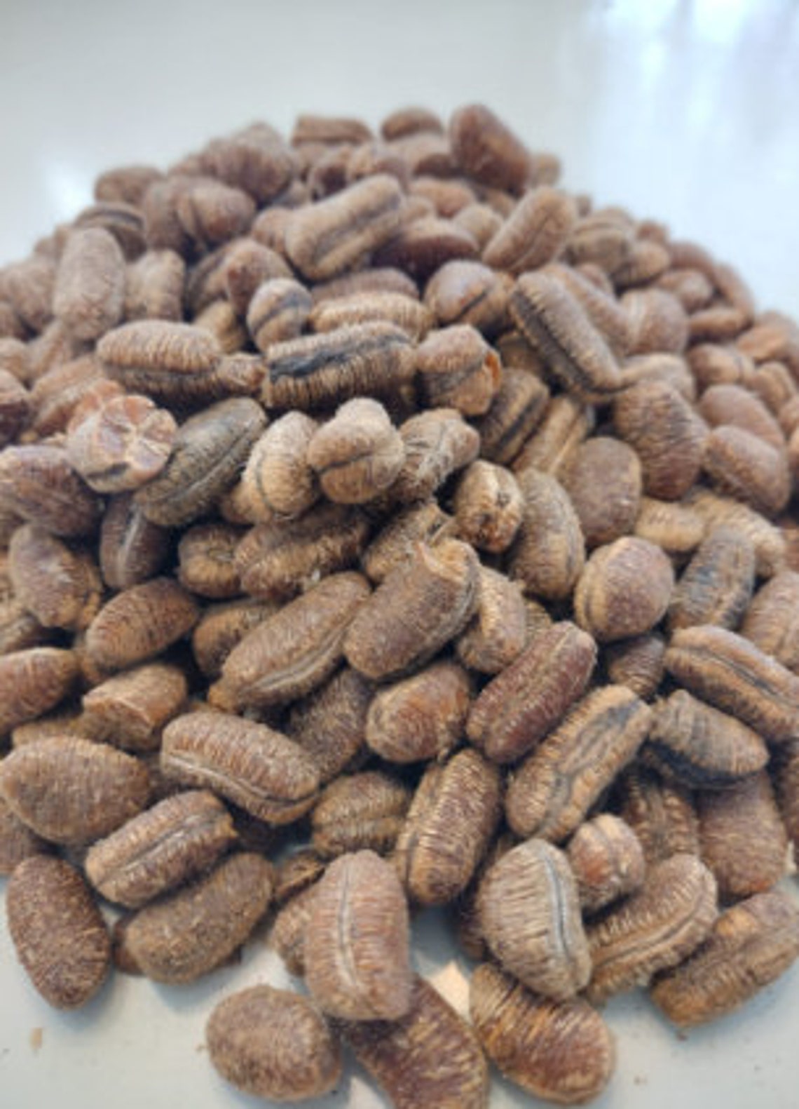 Whole African Nutmeg | Calabash Nutmeg | Wedia Aba | 250g Pack - Etsy