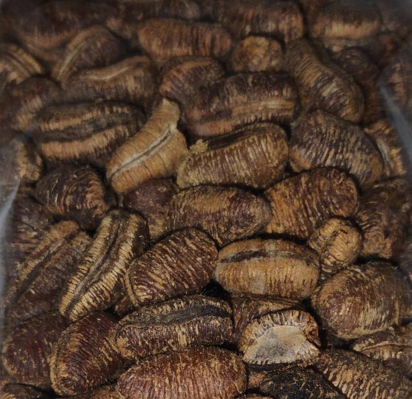 Whole African Nutmeg | Calabash Nutmeg | Wedia Aba | 250g Pack - Etsy