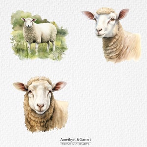 11 Watercolor Sheep Clipart, Printable Watercolor Clipart, High Quality ...