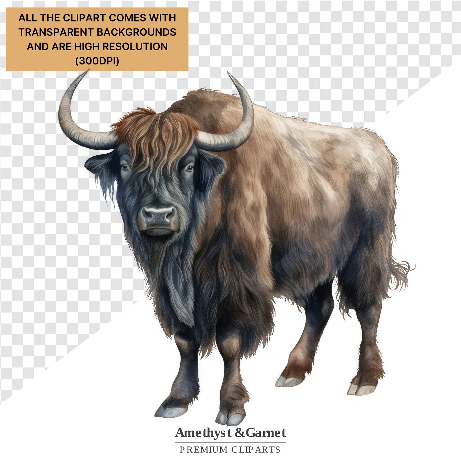12 Yak Clipart Bundle Transparent PNG Collection, Digital Prints ...