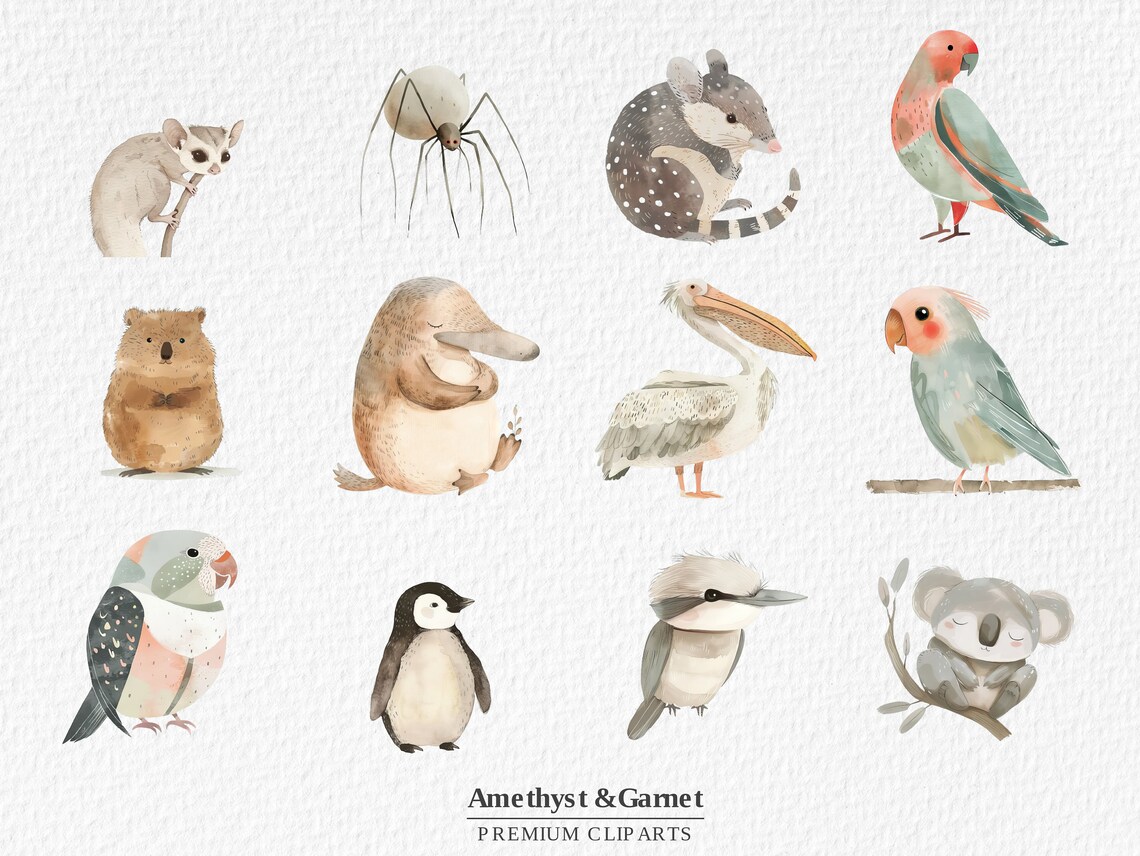 Australian Animals Clipart, Koala Clipart, Aussie Animals, Baby Shower ...