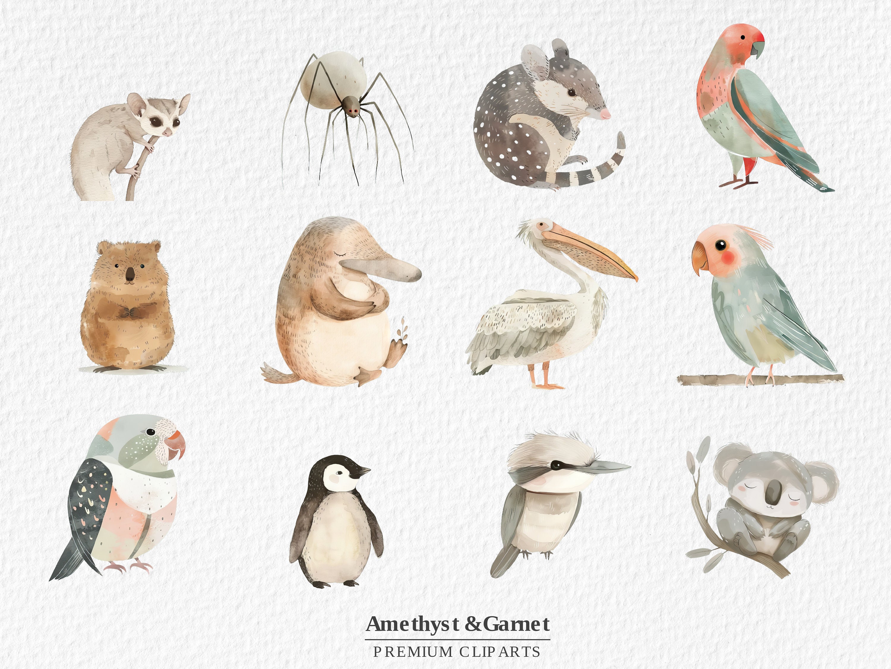 Australian Animals Clipart, Koala Clipart, Aussie Animals, Baby Shower ...