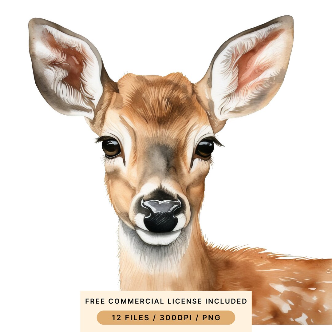 12 Doe Watercolor Clipart, Nursery Decor, Deer PNG, Watercolor Animals ...