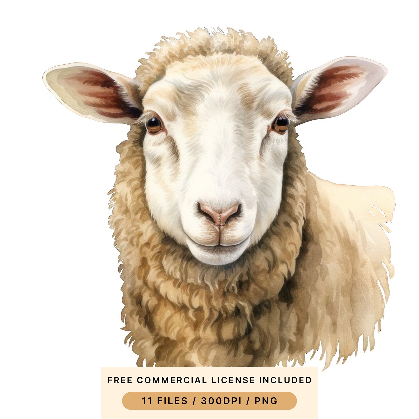 11 Watercolor Sheep Clipart, Printable Watercolor Clipart, High Quality ...