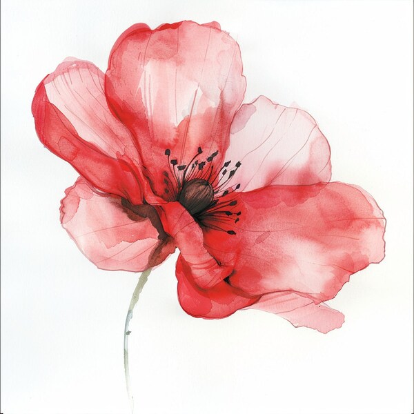 Red Flowers Clipart - Etsy