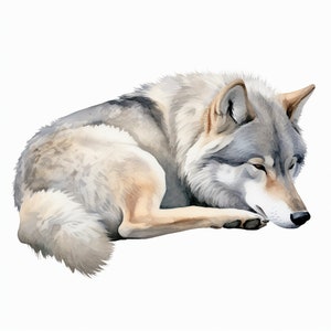 12 Grey Wolf Clipart, Wolf Clip Art, Printable Watercolor Clipart, 12 ...