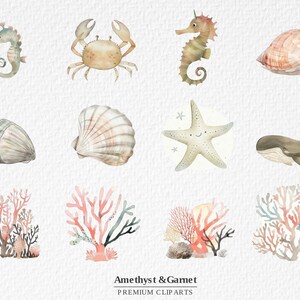 Undersea Watercolor Clipart Bundle - Nursery Decor, Baby Wall Art, Cute ...
