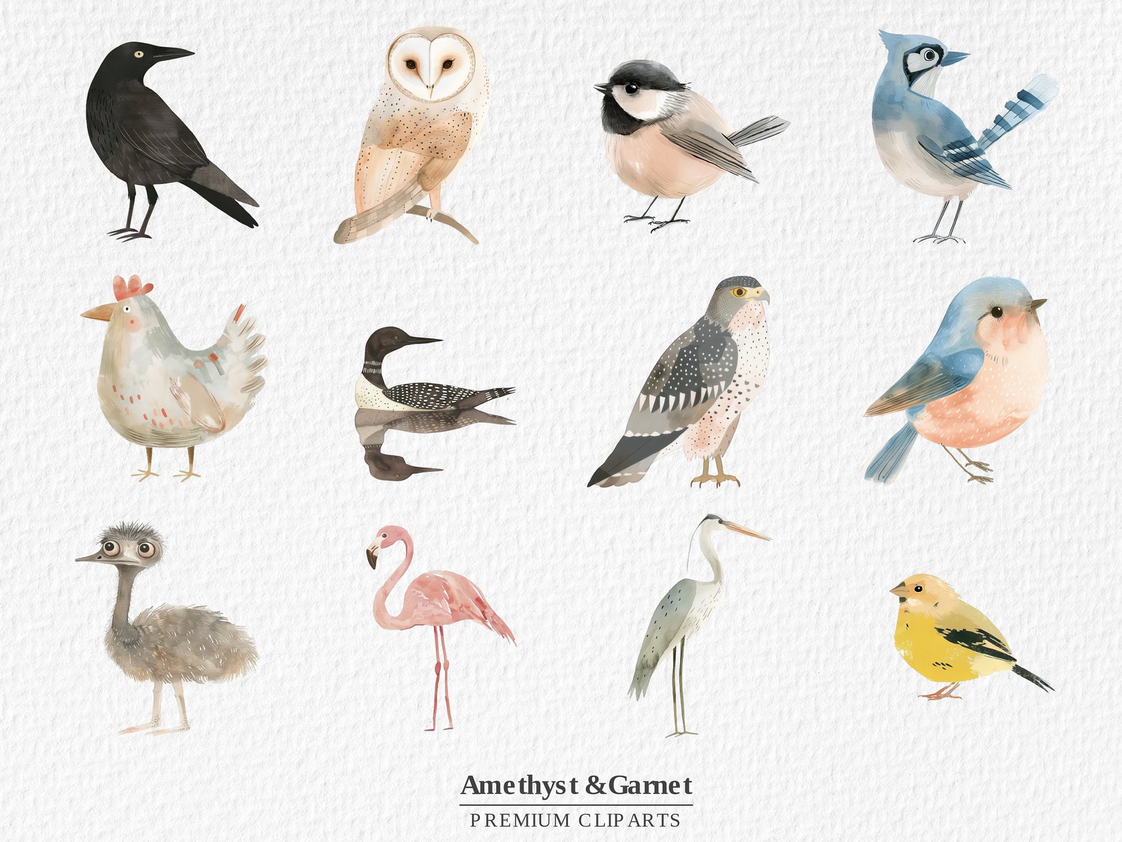 Beautiful Watercolor Bird Clipart PNG Bundle Transparent Background ...
