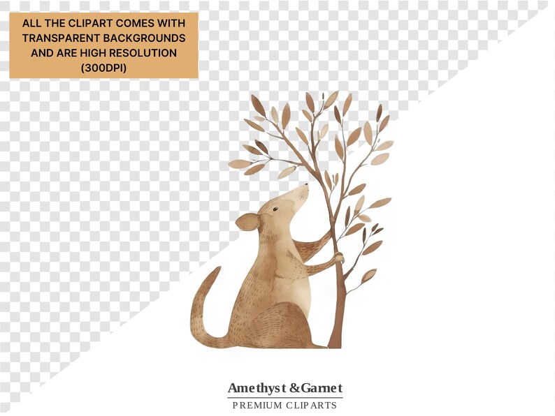Australian Animals Clipart, Koala Clipart, Aussie Animals, Baby Shower ...