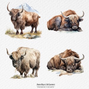 12 Yak Clipart Bundle - Transparent PNG Collection, Digital Prints ...