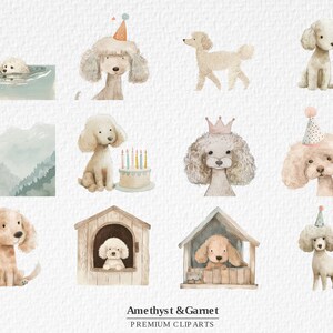 Watercolor Poodles Clipart, Cute Dog, Puppy, Animal, Dog Breed, Dog ...