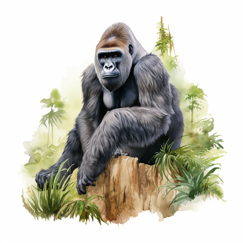 12 Gorilla Clipart, Gorilla Clip Art, Printable Watercolor Clipart, 12 ...
