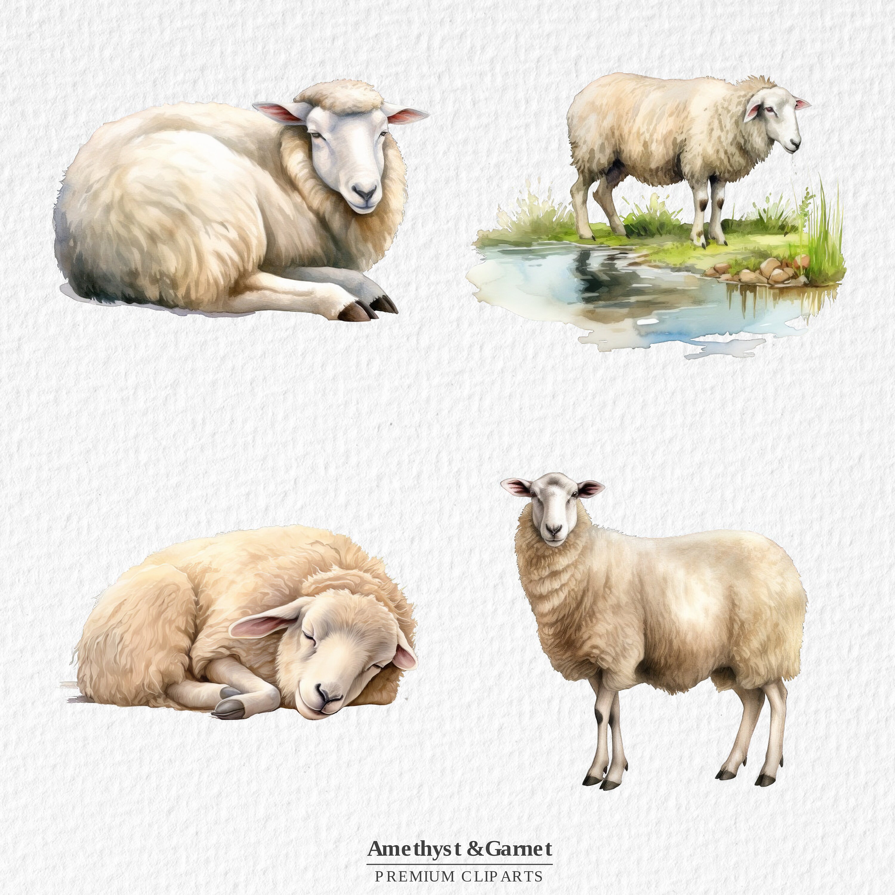 11 Watercolor Sheep Clipart, Printable Watercolor Clipart, High Quality ...
