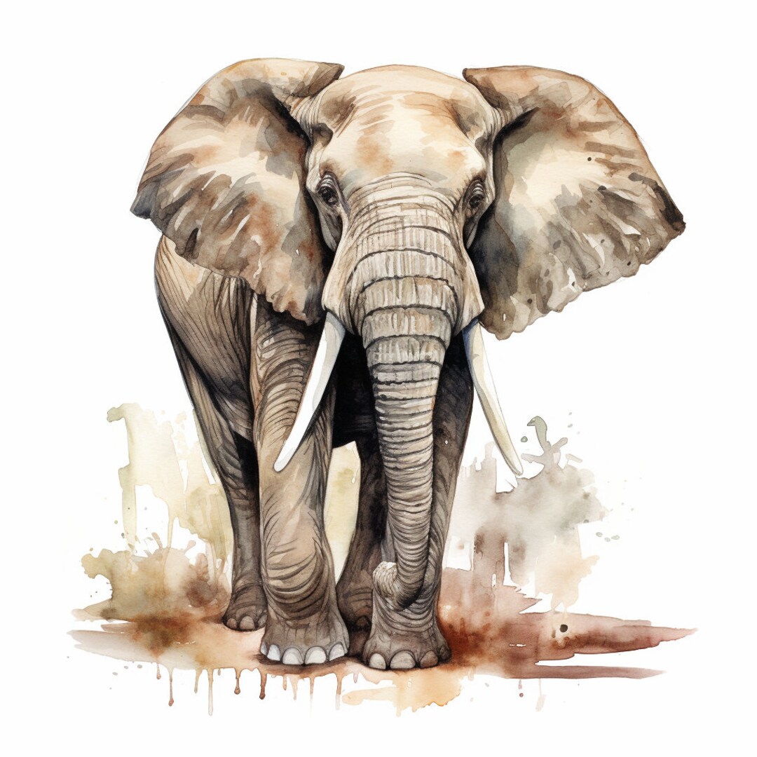 9 Elephant Clipart, Elephant Clip Art, Printable Watercolor Clipart, 12 ...