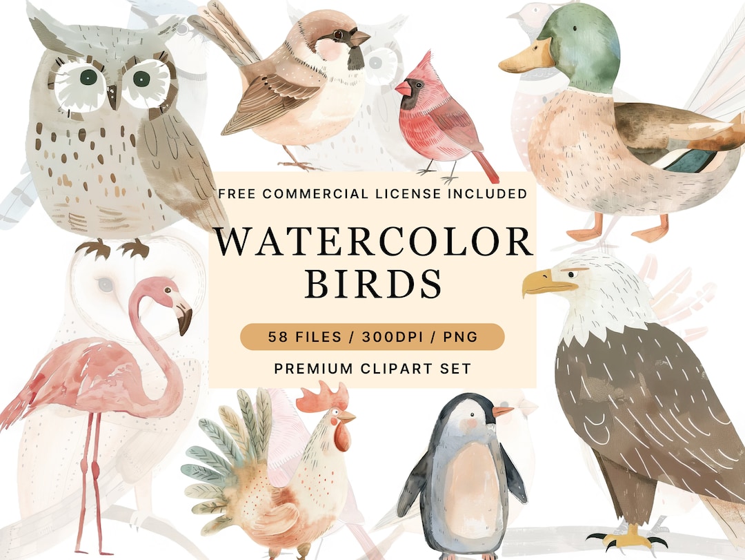 Beautiful Watercolor Bird Clipart PNG Bundle Transparent Background ...