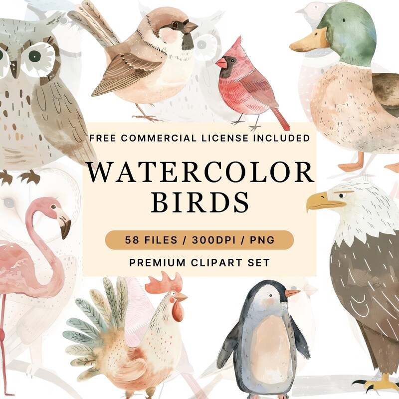 Cute Bird Clip Art - Etsy
