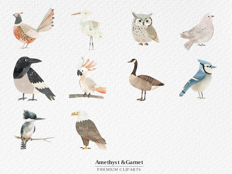 Beautiful Watercolor Bird Clipart PNG Bundle Transparent Background ...