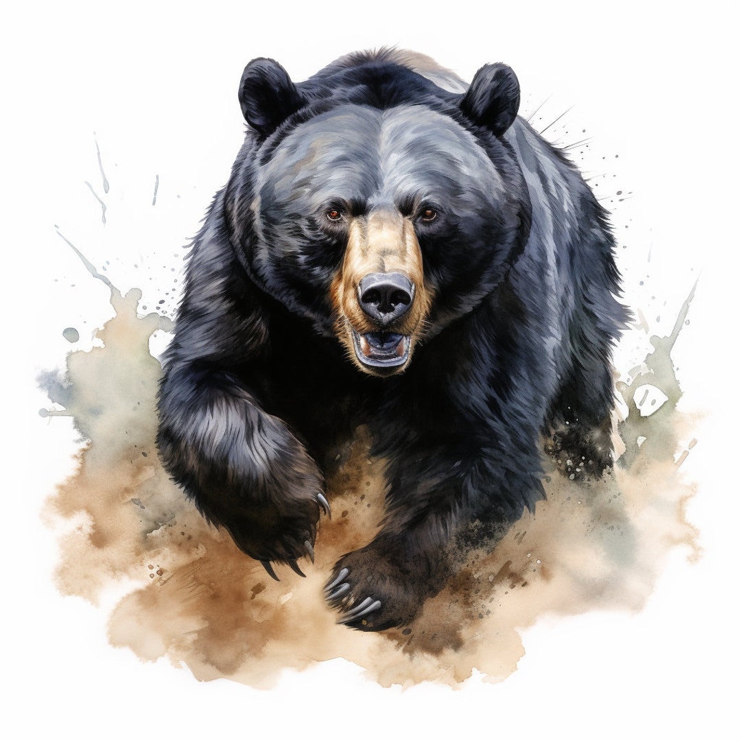 19 Black Bear Clipart, Bear Clip Art, Printable Watercolor Clipart, 19 ...